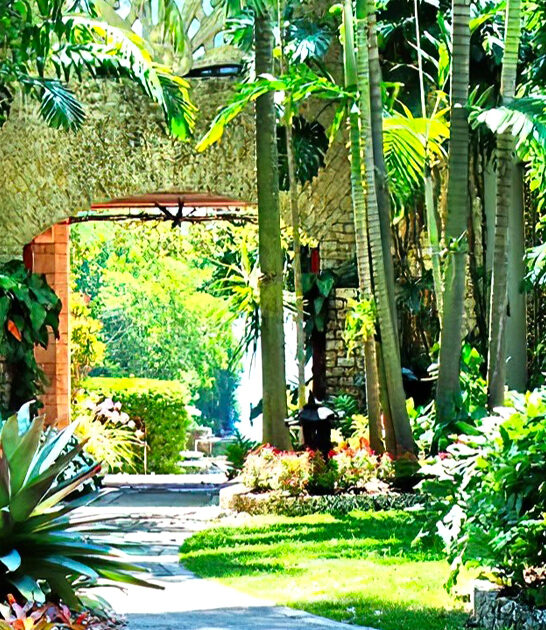 rare trees estate florida ftr