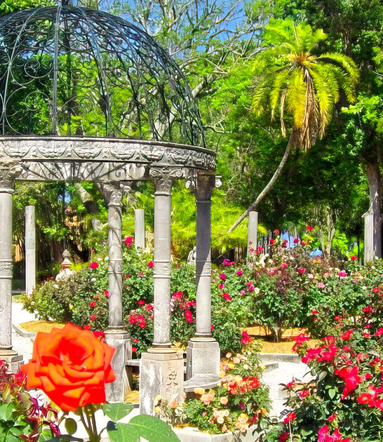 rose garden museum florida ftr