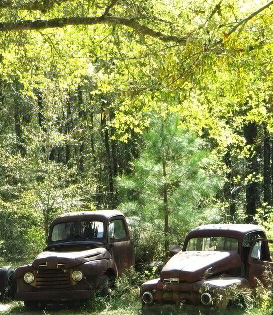 rusting vintage trucks florida ftr