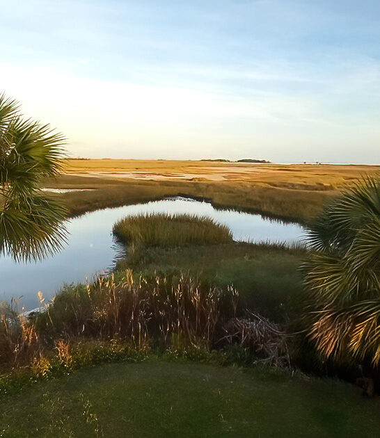 scenic wildlife sanctuary florida ftr
