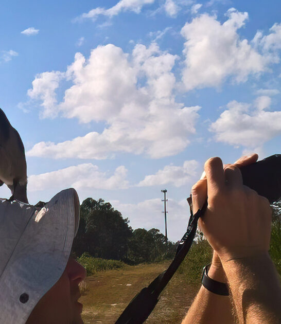 scrub jay sanctuary florida ftr
