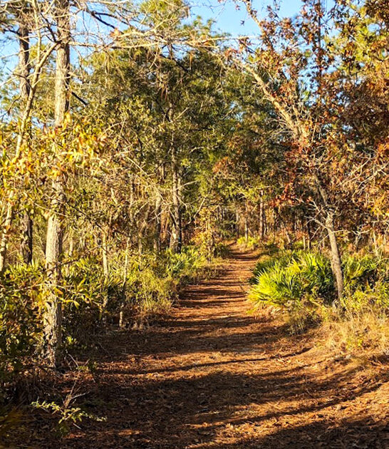 secret oak garden florida FTR