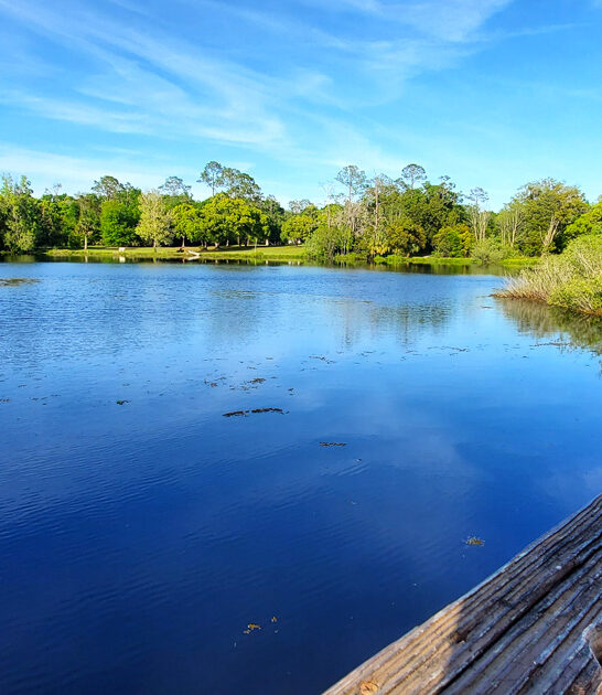 serene lake town florida FTR