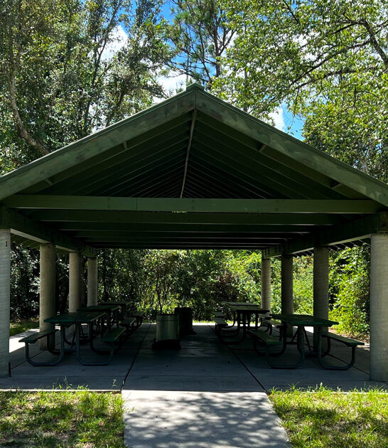 serene park florida ftr