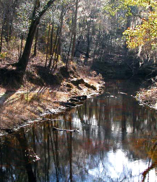 shortest river cave florida ftr