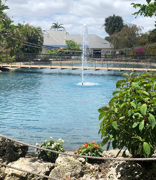 sprawling butterfly park florida ftr