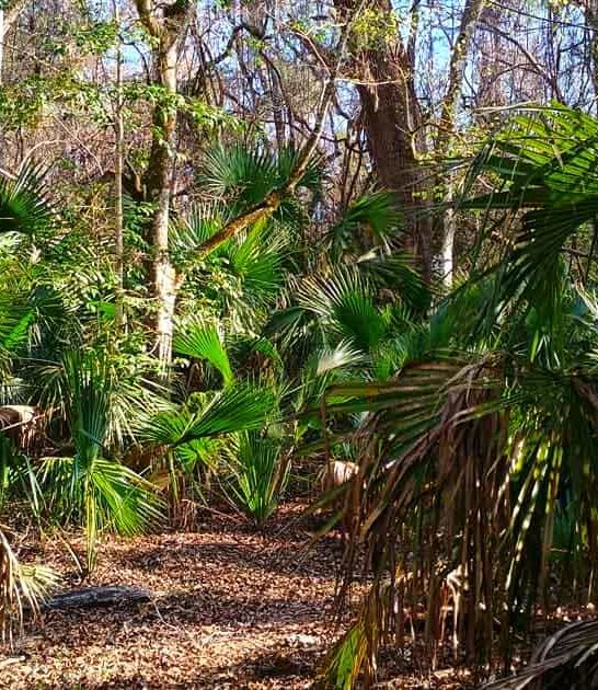 spring hiking trails florida ftr