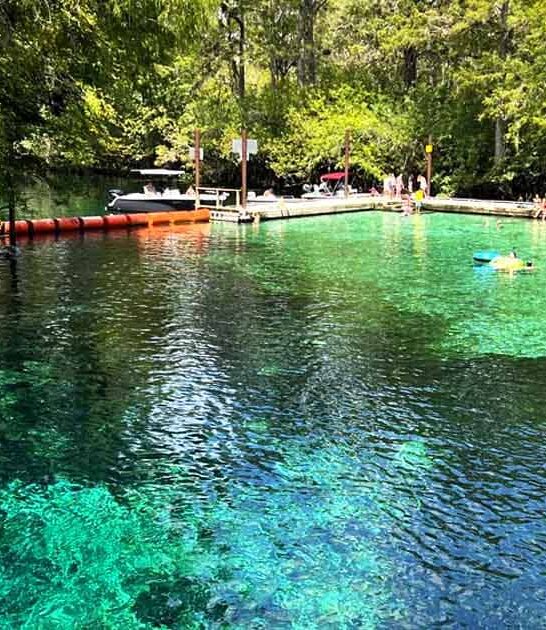 stunning springs park florida ftr