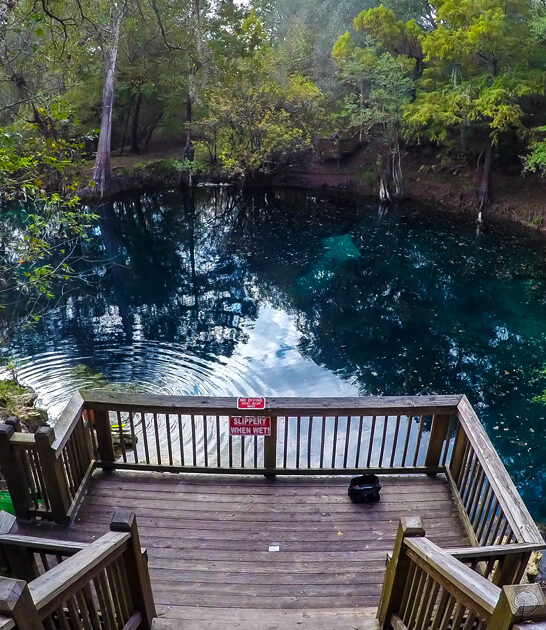 stunning swimming hole florida ftr
