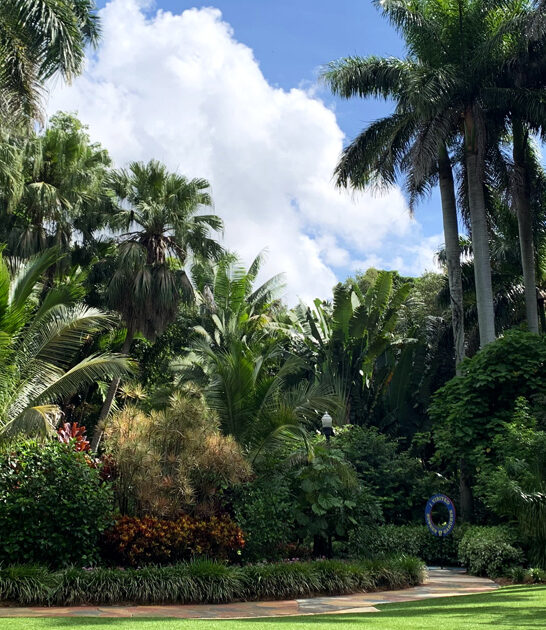 sunken gardens florida ftr