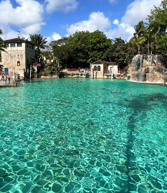 surprising things in florida ftr