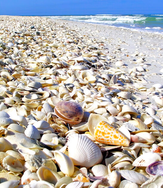 tigertail beach florida ftr