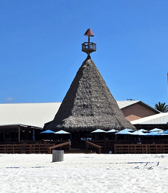 tiki beachside restaurant florida ftr