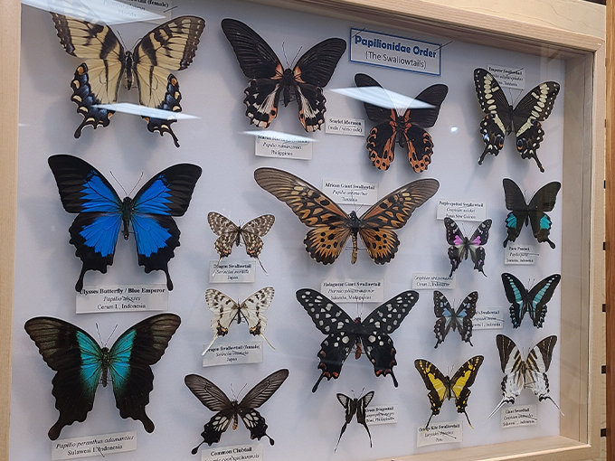 trout lake nature center 7