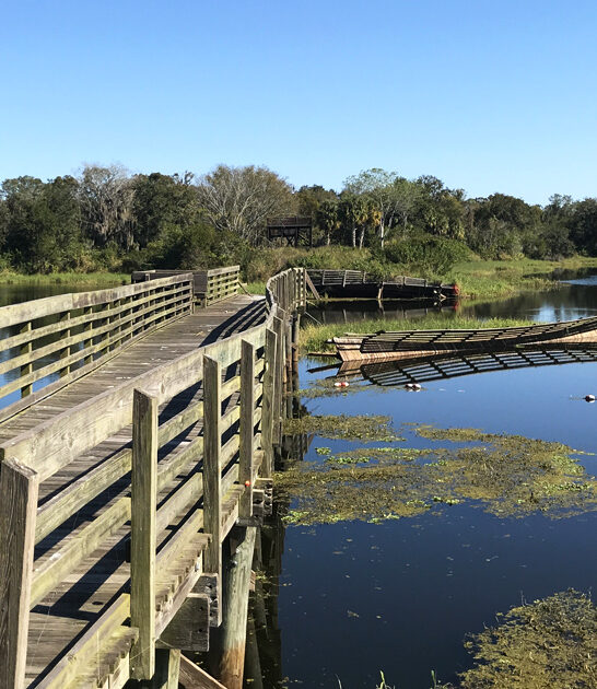 underrated conservation park florida ftr