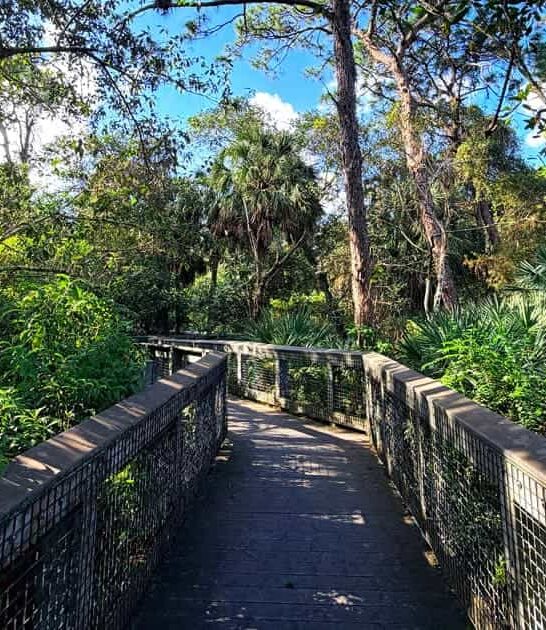 underrated nature preserve florida ftr