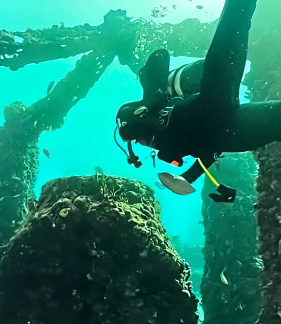 underwater city dead florida ftr