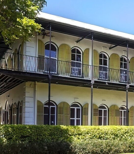 unique cats museum florida ftr