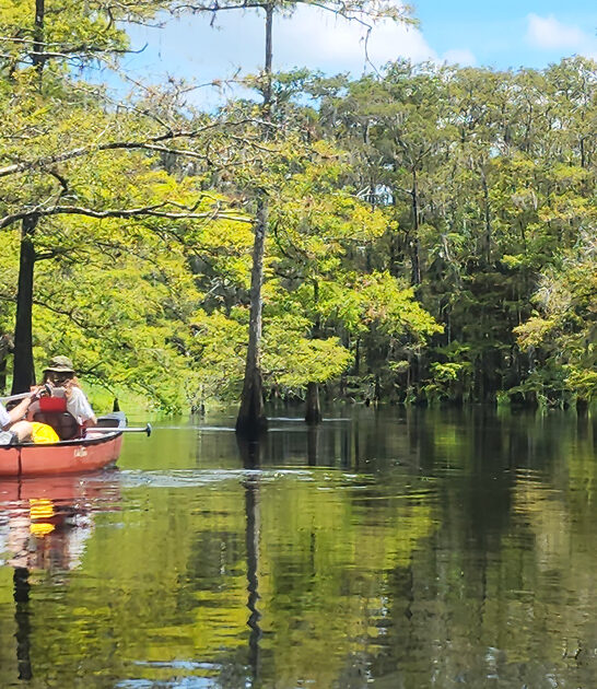 untouched wildlife haven florida ftr