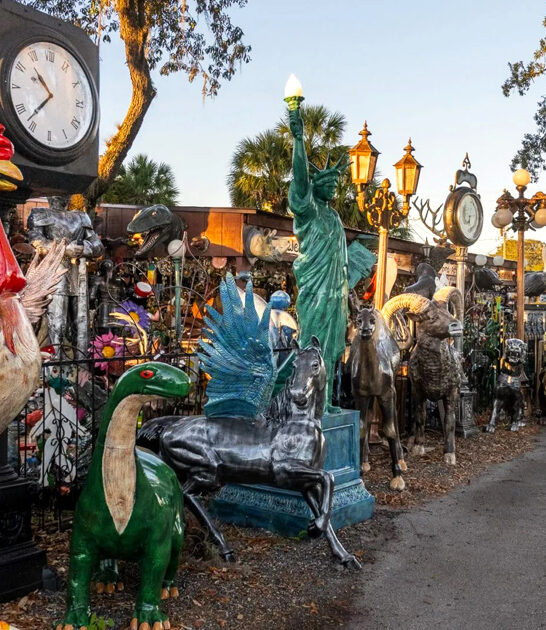 village town florida ftr