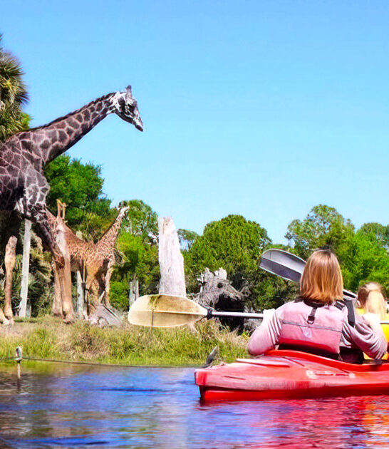 zoo kayak florida ftr