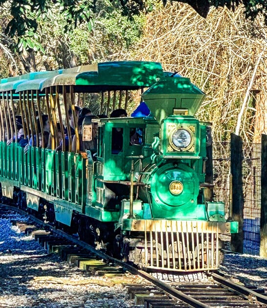zoo train ride florida ftr