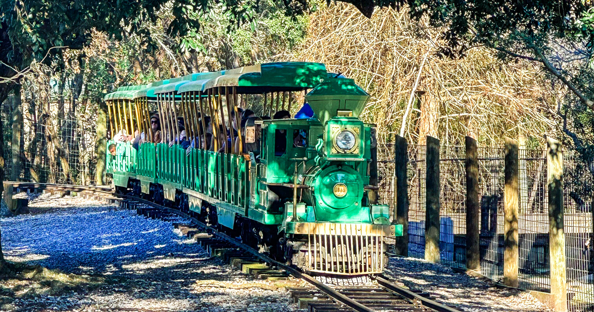 Take A Magical Train Ride Around Free-Roaming Animals At This Florida Zoo