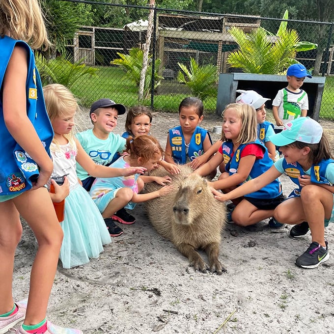 The colorful welcome sign at Amazing Animals Inc. invites visitors into a world where wildlife encounters become personal and memorable experiences.