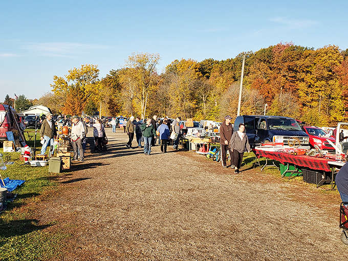 The Armada Flea Market stretches before you like a treasure hunter's dream, with rows of vendors creating a maze of possibilities under those gorgeous Michigan skies that make you remember why you love living here.