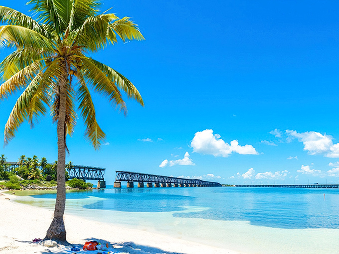 Paradise found: Swaying palms frame the impossibly blue waters of Bahia Honda, where reality outshines even the most filtered vacation photos.