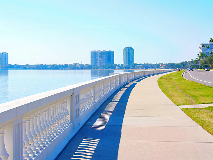 Bayshore Boulevard stretches like a concrete ribbon along Tampa Bay, its iconic white balustrade guiding visitors along Florida's most scenic urban pathway.