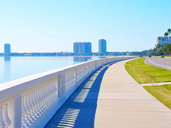 Bayshore Boulevard: Where Tampa's heart meets the water, creating Florida's most spectacular urban pathway for walkers, joggers, and dreamers alike.