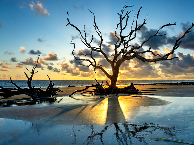 Big Talbot Island State Park's entrance sign welcomes nature lovers to one of Florida's most unusual coastal treasures.