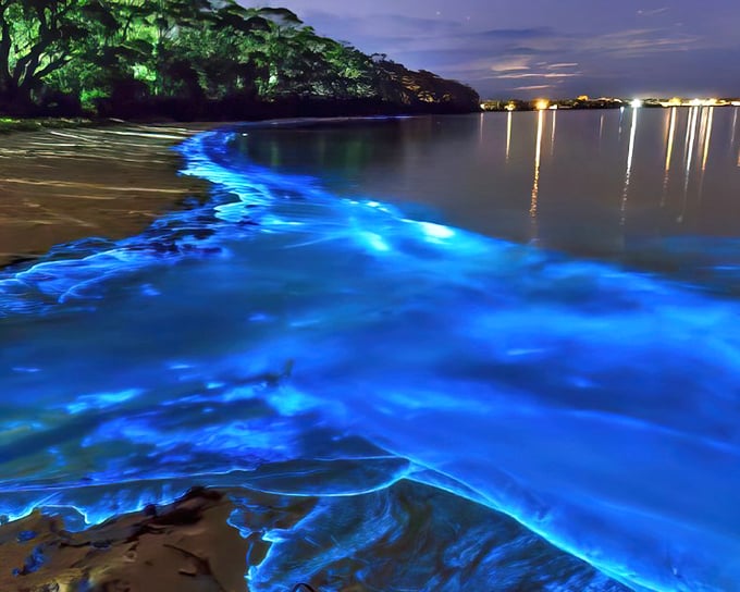 Nature's light show outshines Vegas as electric blue waves transform Merritt Island's shoreline into something from another planet.