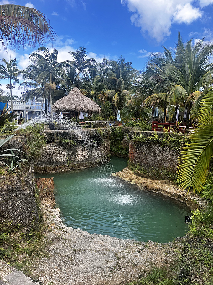 Welcome to Blue Lagoon Farm Miami, where emerald waters and swaying palms create a tropical escape that feels worlds away from ordinary life.