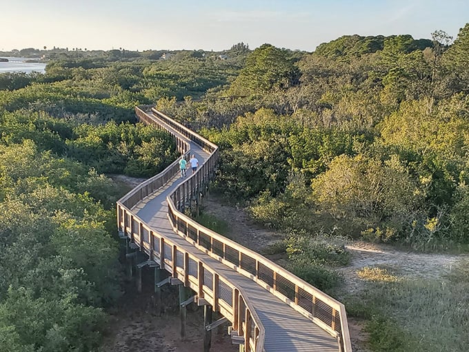 A wooden serpentine path through emerald wilderness &ndash; nature's own therapy session without the hourly rate.