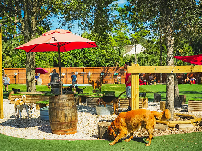 A canine paradise where furry friends frolic on artificial turf while humans sip craft beverages under cheerful red umbrellas.
