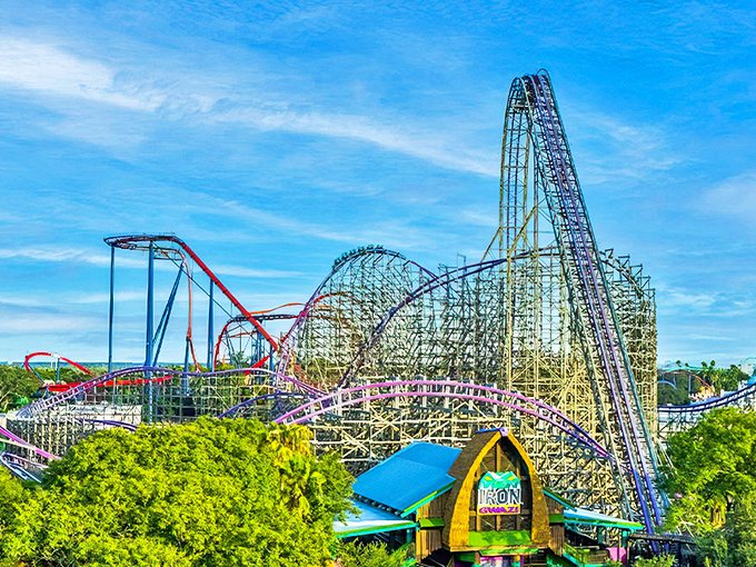 Busch Gardens Tampa Bay: Where roller coasters and wildlife collide in a symphony of screams and animal calls that somehow works perfectly together.