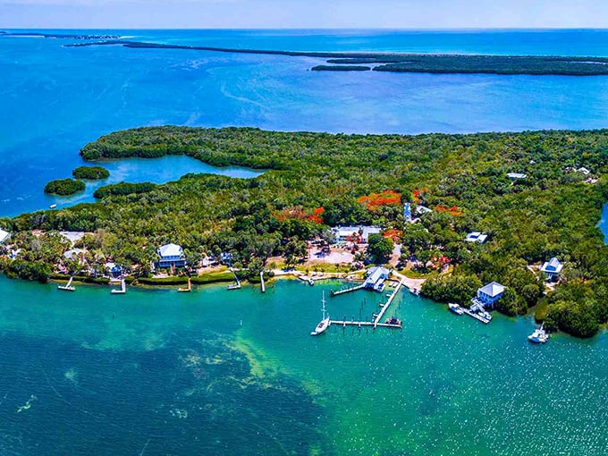 An emerald jewel floating in Pine Island Sound, where nature still calls the shots and relaxation isn't just suggested; it's mandatory.