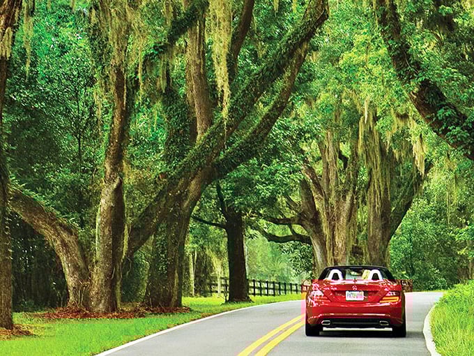 A crimson car glides beneath nature's emerald cathedral – Tallahassee's canopy roads turn ordinary drives into extraordinary journeys through living history.