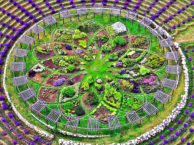 A bird's-eye view of nature's perfect geometry &ndash; Cherry Point's lavender labyrinth unfolds like a purple mandala beneath the Michigan sky.