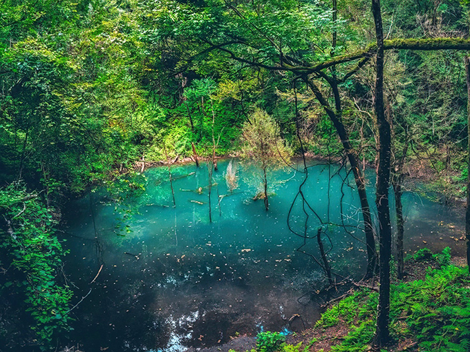 Nature's own infinity pool: The ethereal turquoise waters of Devil's Millhopper create a mesmerizing contrast against the lush green surroundings.