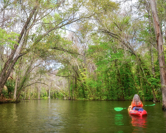 A kayaker glides through the Dora Canal's emerald waters, where cypress sentinels have stood guard for centuries, creating nature's perfect cathedral ceiling.