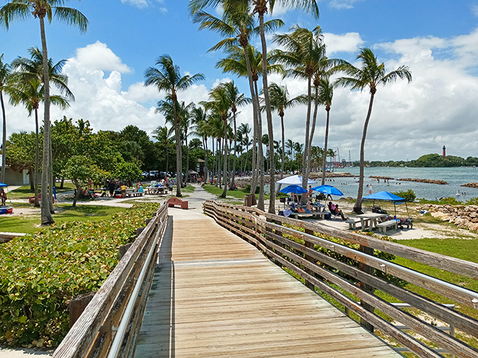 Dubois Park: Where wooden boardwalks lead to paradise and palm trees stand like nature's welcoming committee along Jupiter's stunning coastline.