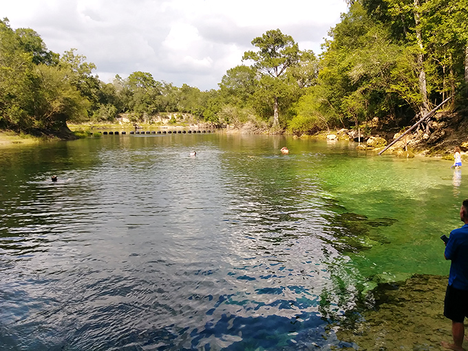 Nature's perfect swimming pool: crystal-clear waters meet tannic river currents, creating a two-toned paradise for paddlers and pups alike.