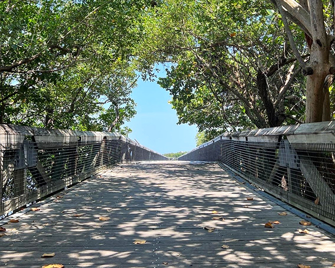 John D. MacArthur Beach State Park: Where nature's architecture outshines even the fanciest Palm Beach mansions, creating leafy corridors that whisper Florida's ancient secrets.