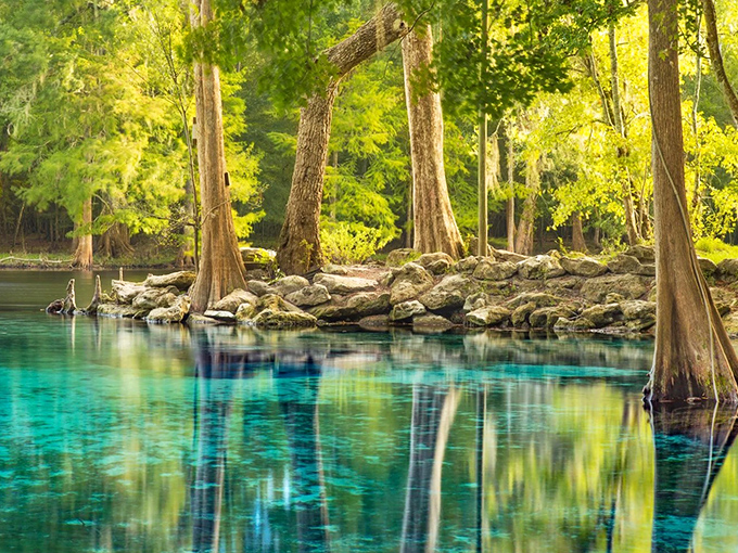 The welcoming entrance to Ginnie Springs Outdoors, where palm trees stand guard over Florida's underwater paradise.