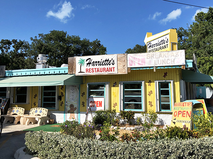Sunshine-yellow with turquoise trim, Harriette's exterior stands like a cheerful beacon along the Overseas Highway, promising authentic Keys comfort within.