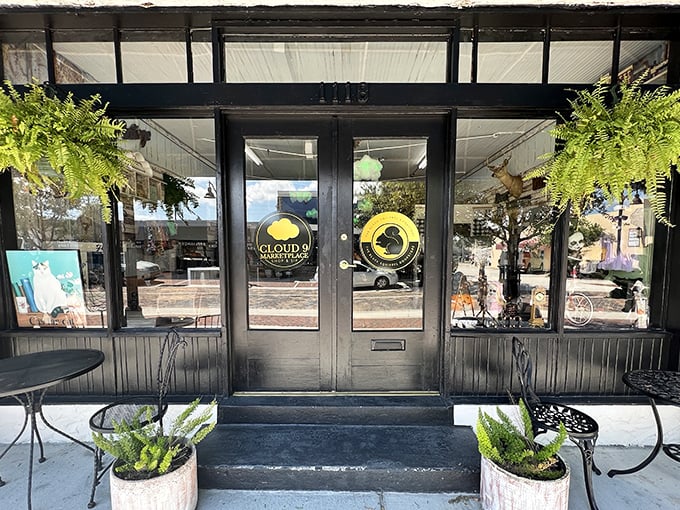 The unassuming entrance to literary paradise&mdash;where ferns frame the doorway and adventure awaits behind those black doors.