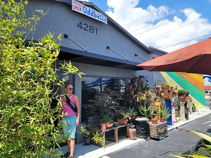 The unassuming gray exterior of Oddballs Nifty Thrift hides a wonderland of vintage treasures, with potted plants standing guard like quirky sentinels.